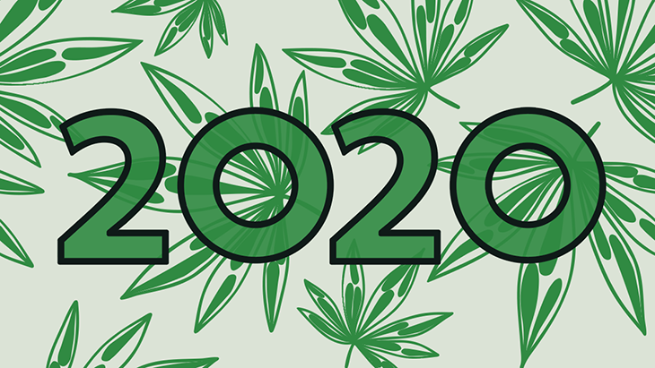 2020 Year in Review: NORML's Top Ten Events in Marijuana Policy - NORML