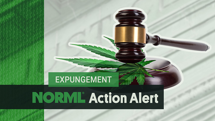 Florida: Expunge Low-Level Marijuana Convictions - NORML